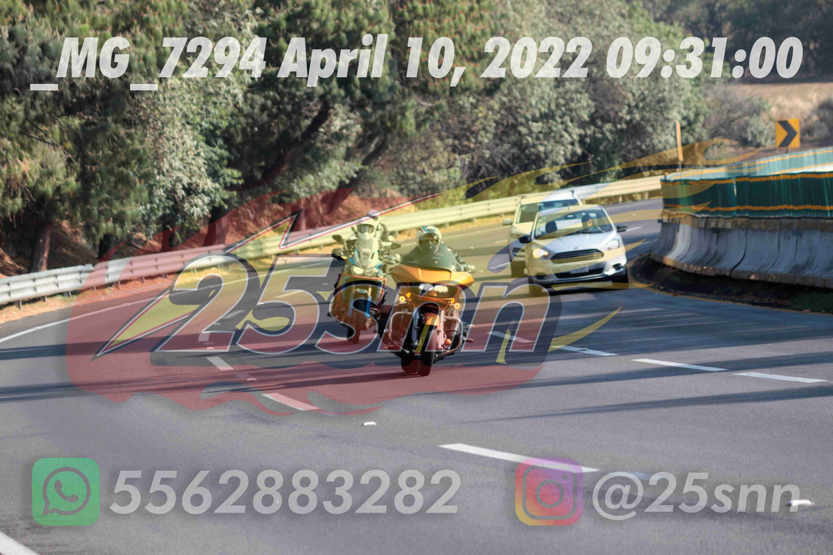 MG 7294 — Postimages