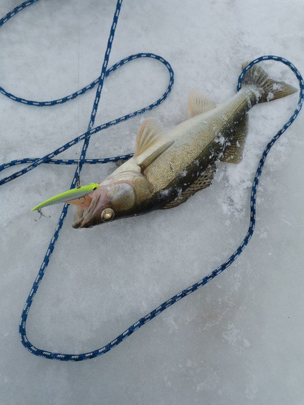 IMG 20211216 122013 — Postimages