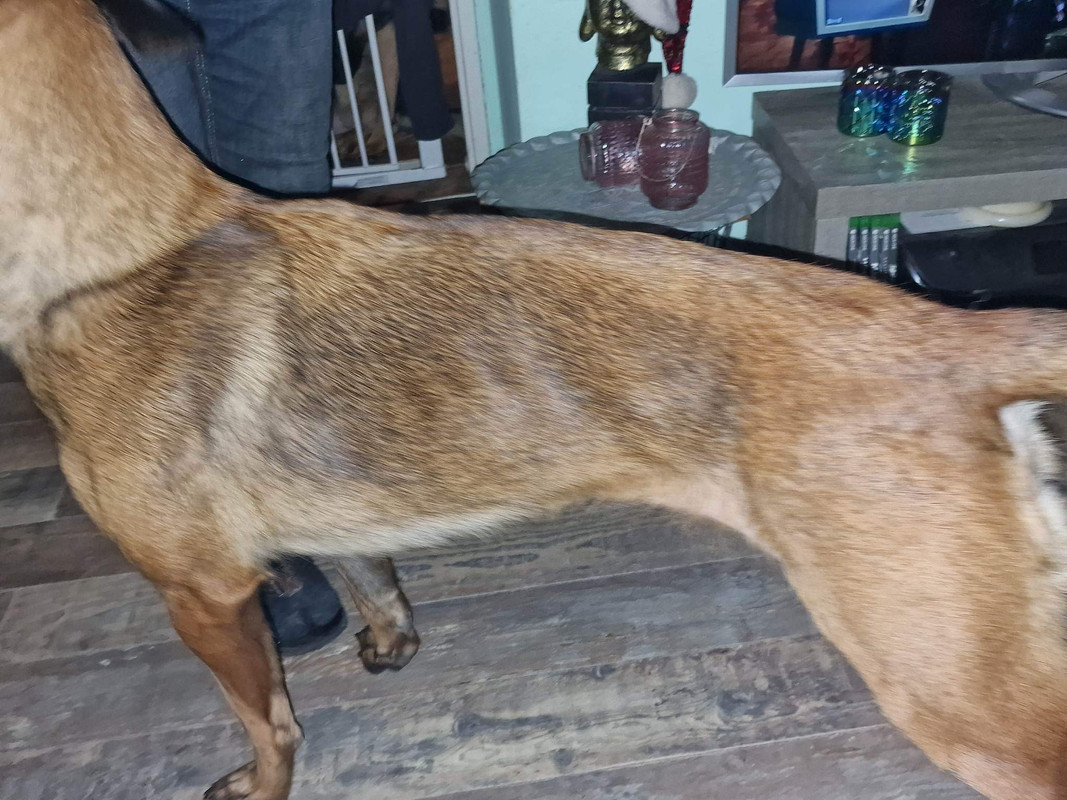 E878 B849 7 C90 49 E1 8 DE4 3967 B41 C7672 — Postimages