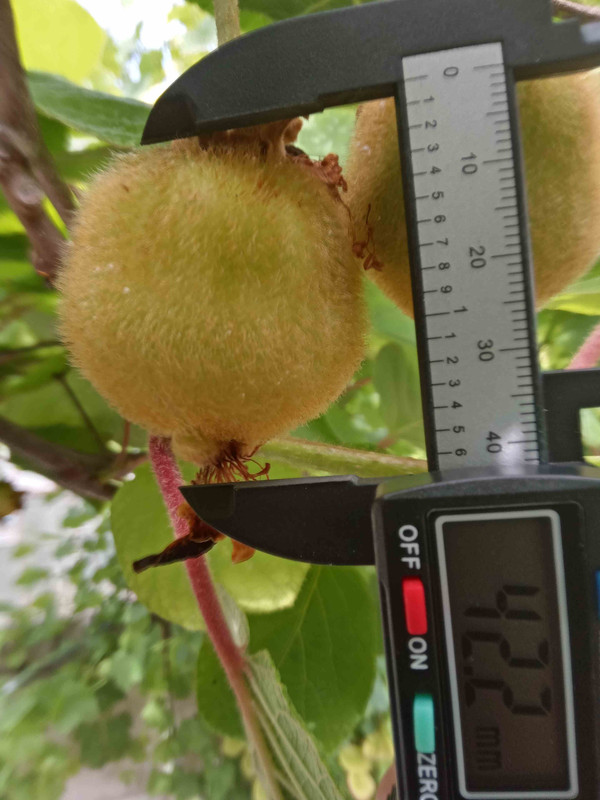 GH 20230628 143229 — Postimages