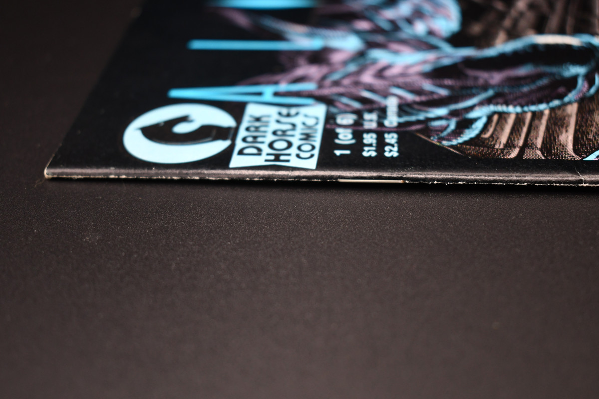 DSC 2192 — Postimages