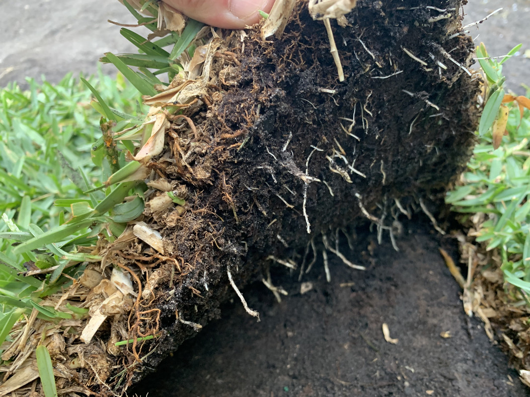 B17 D5002 0021 4409 B2 F8 EDFC1 E805879 — Postimages