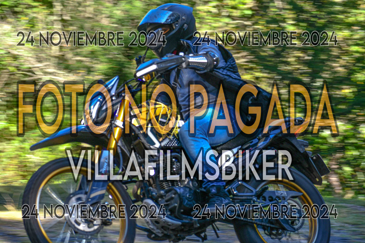 Album — Postimages