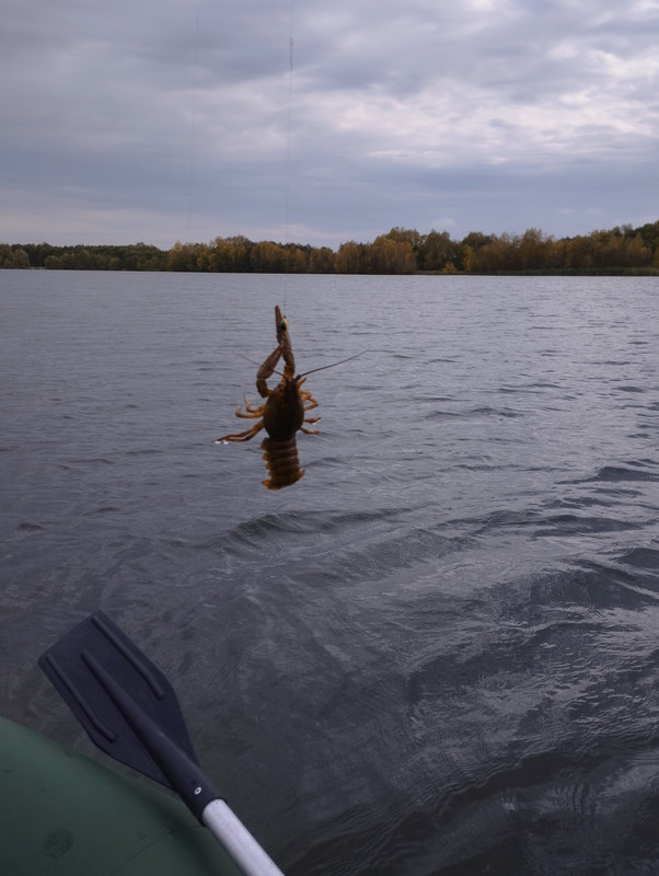 Img 20231003 152829 Postimages