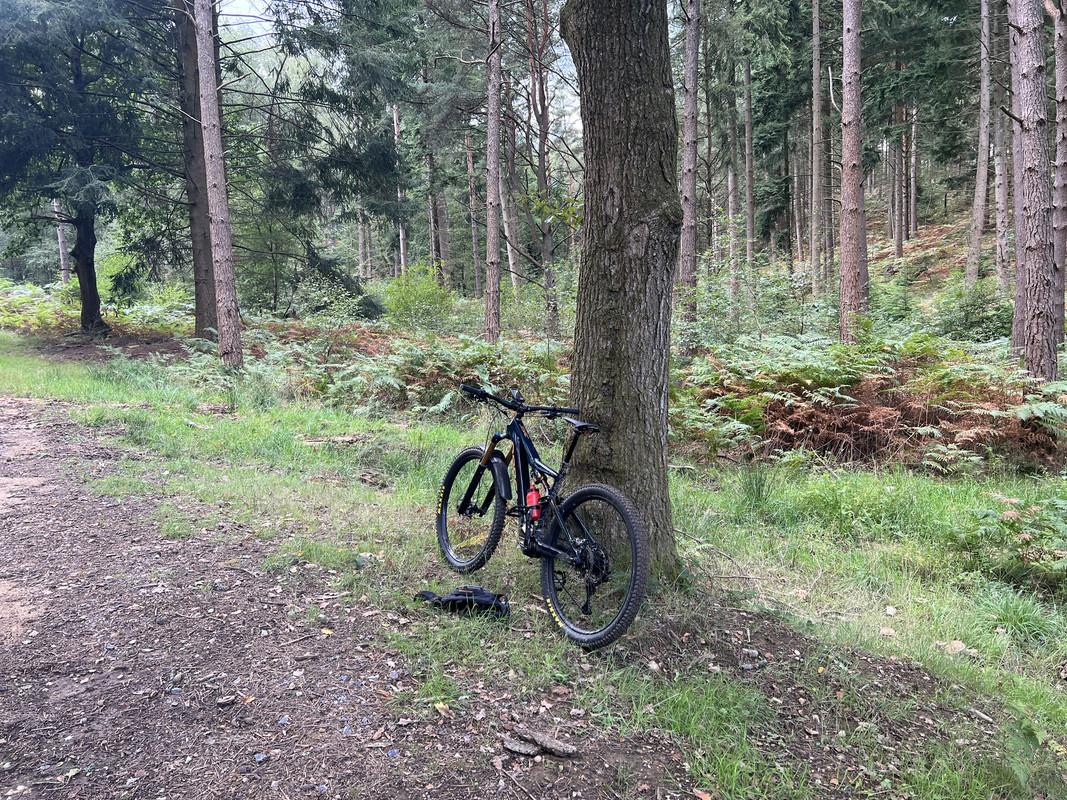 IMG 0630 — Postimages