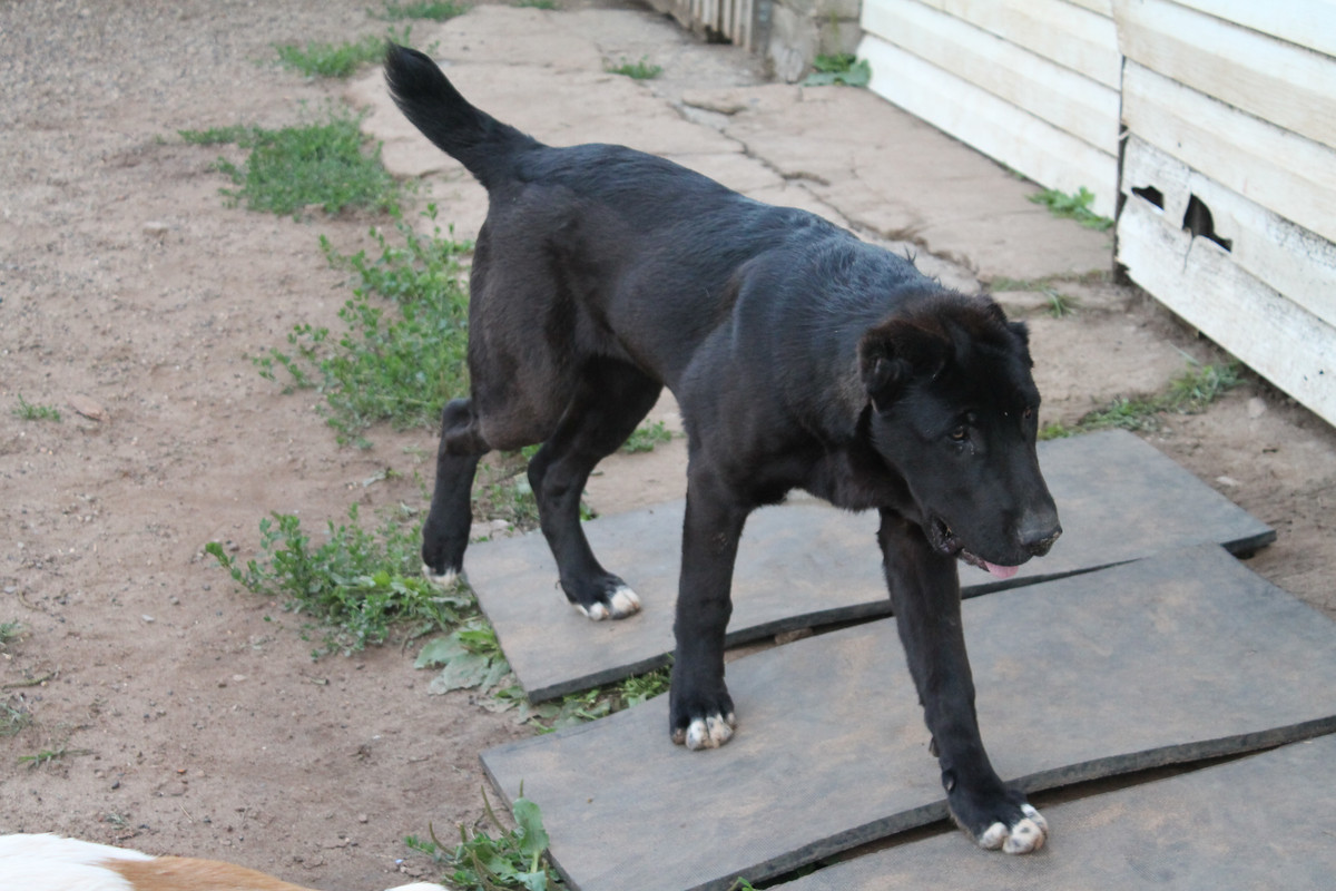 IMG 6035 — Postimages