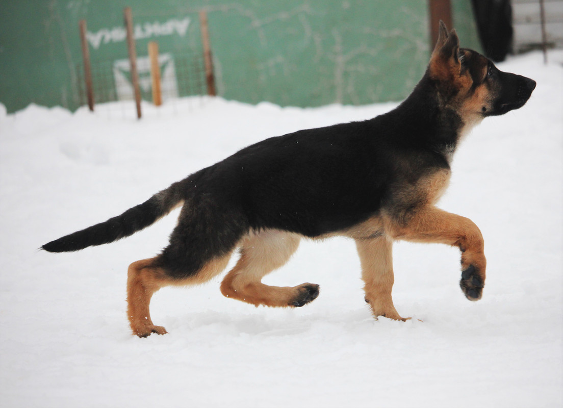 IMG 0580 — Postimages