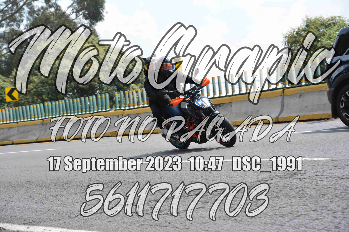 motgr DSC 1991 — Postimages