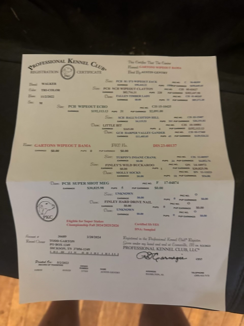 IMG 2583 — Postimages