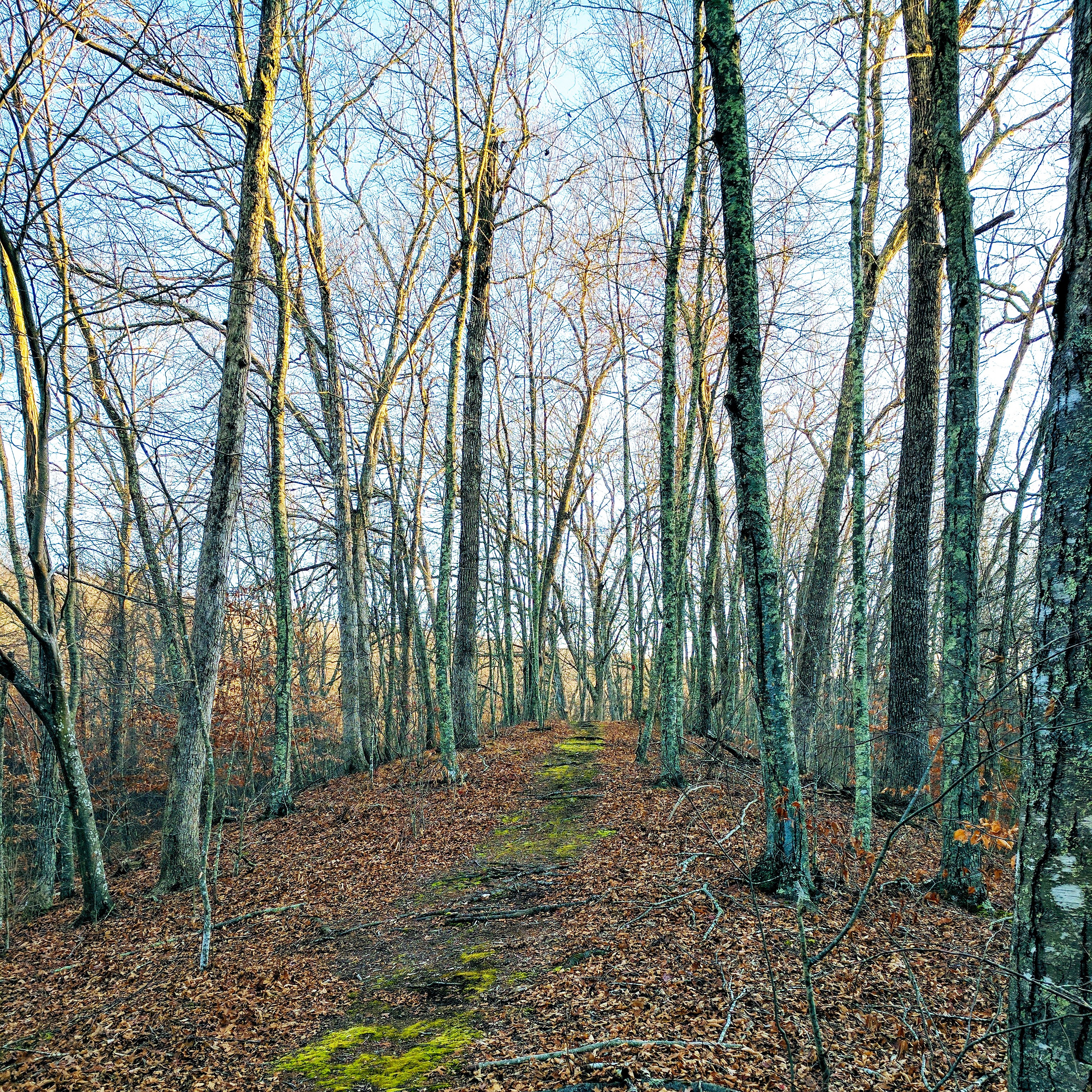 Daily Random Photos - ONE PICTURE PER DAY - 2017 (JPG, flickr ...