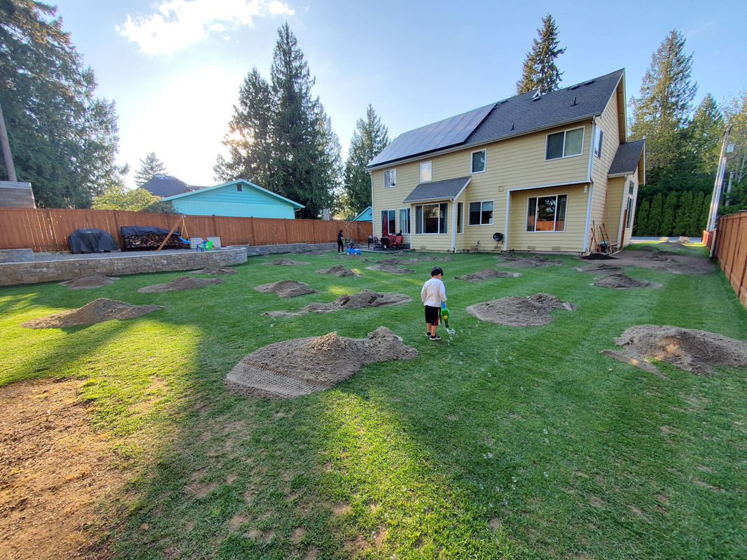 Too much sand... | Lawn Care Forum