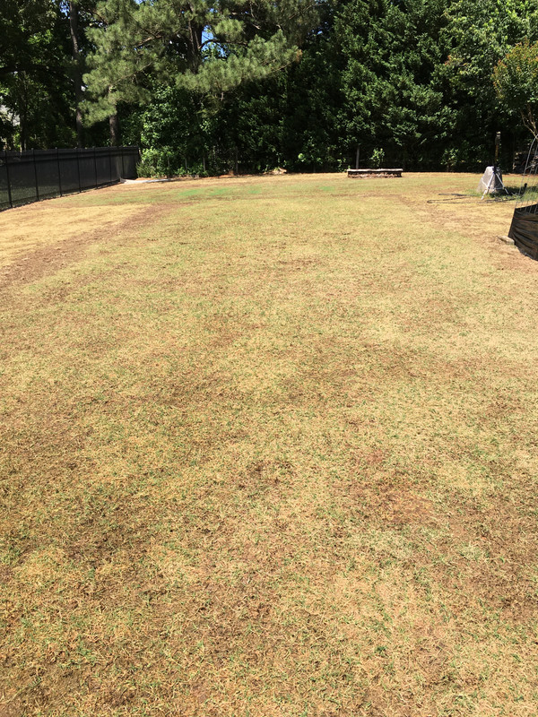 IMG 2003 — Postimages