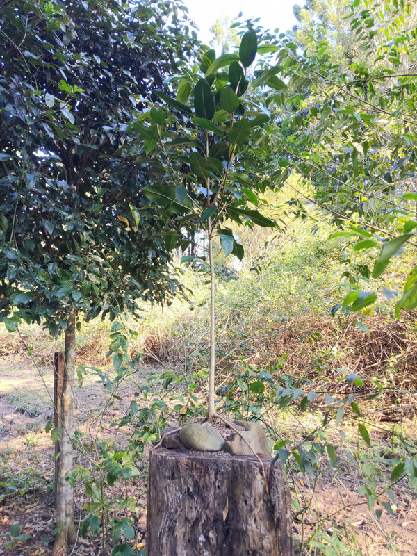 Imagepipe 1415 — Postimages