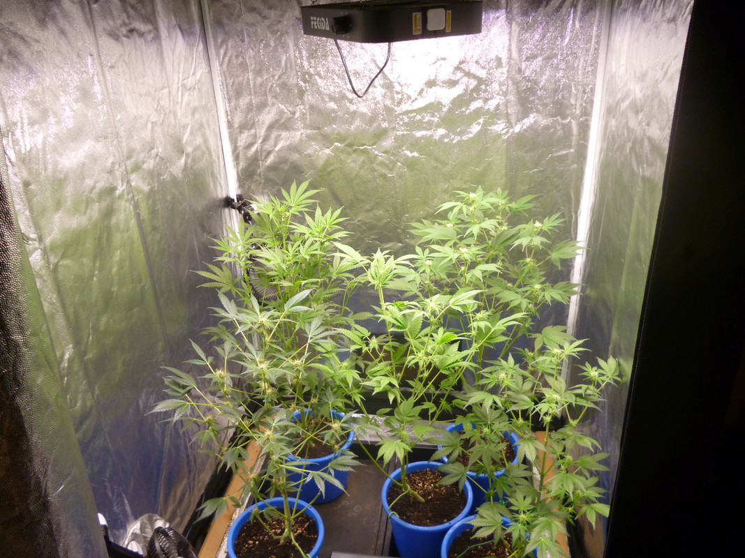 13 01 2024 Pi P — Postimages