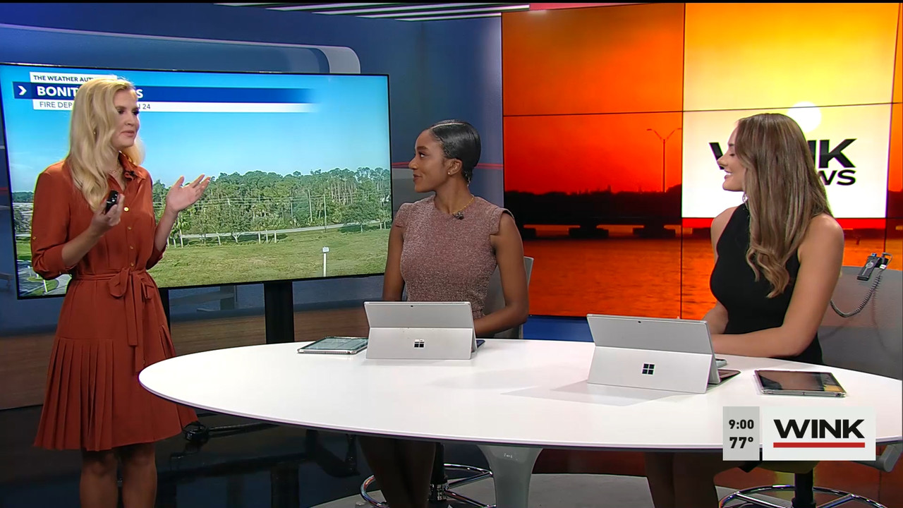 WINK News at 900 AM 20230923 14001500 ts snapshot 00 52 633 — Postimages