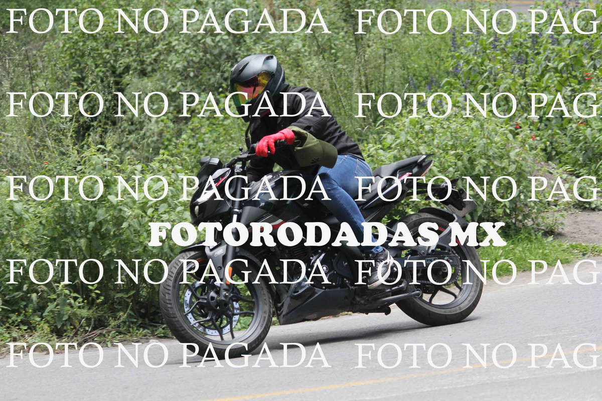 IMG 2401 — Postimages