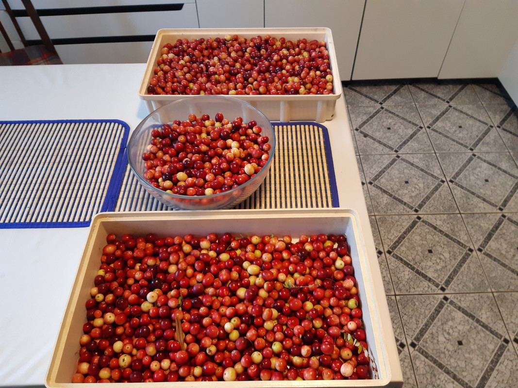 20190919 171550 — Postimages