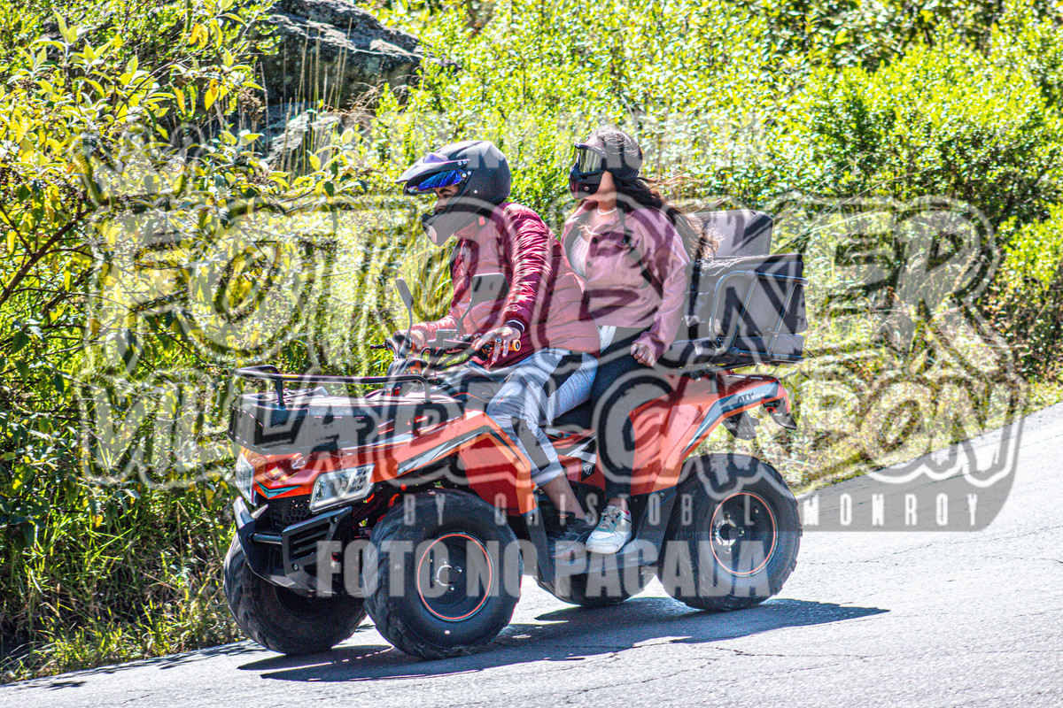 CV 130 — Postimages