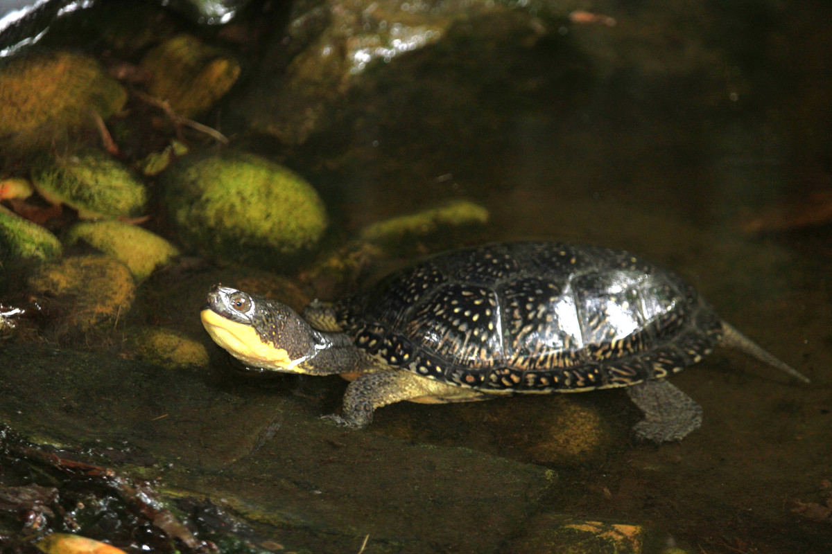 IMG 1683 — Postimages