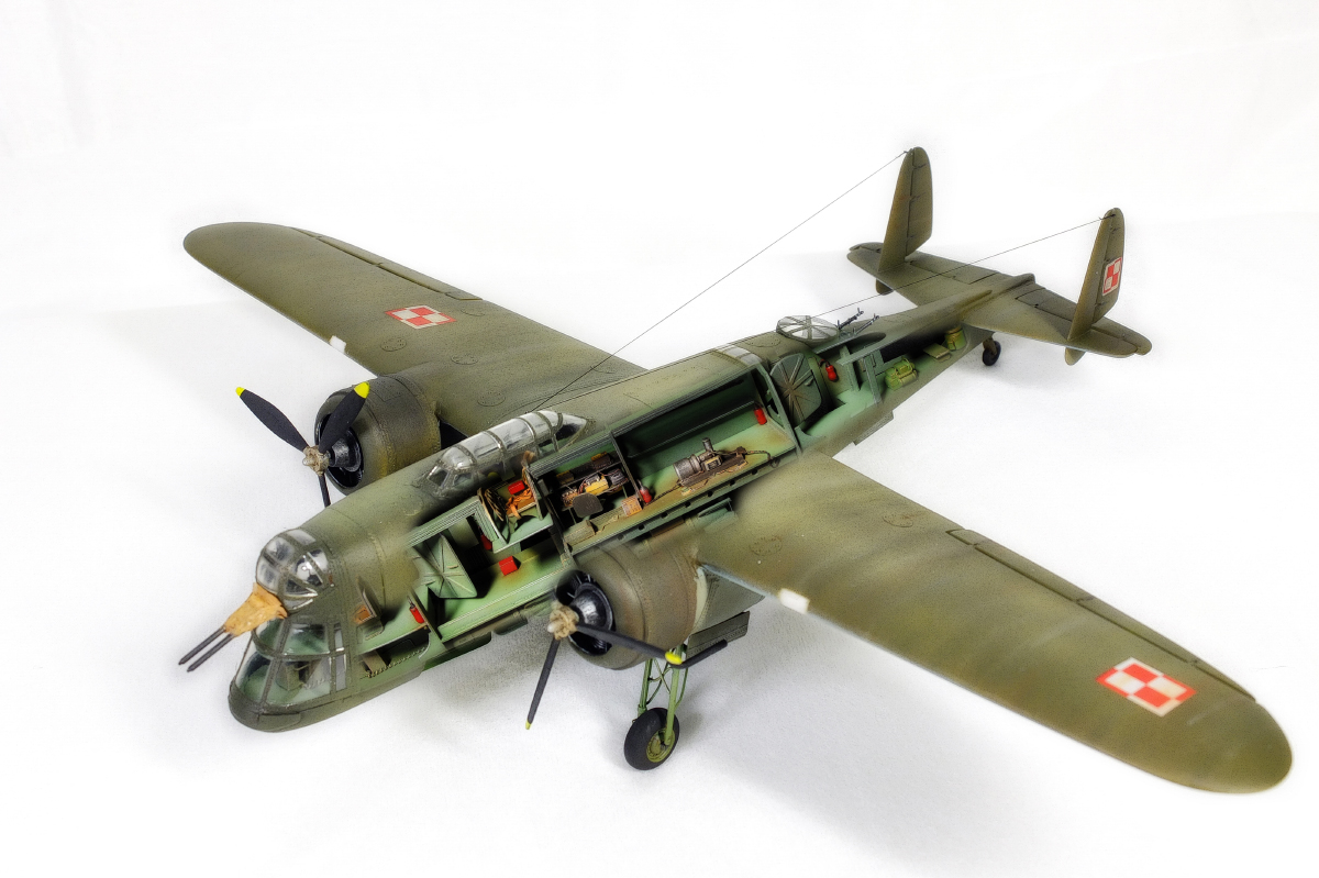 LWS-6 ZUBR - Ready for Inspection - Aircraft - Britmodeller.com