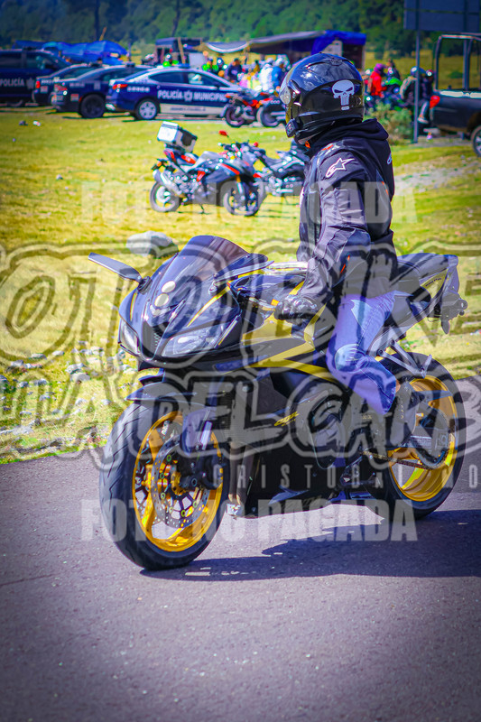 PL2 1023 — Postimages