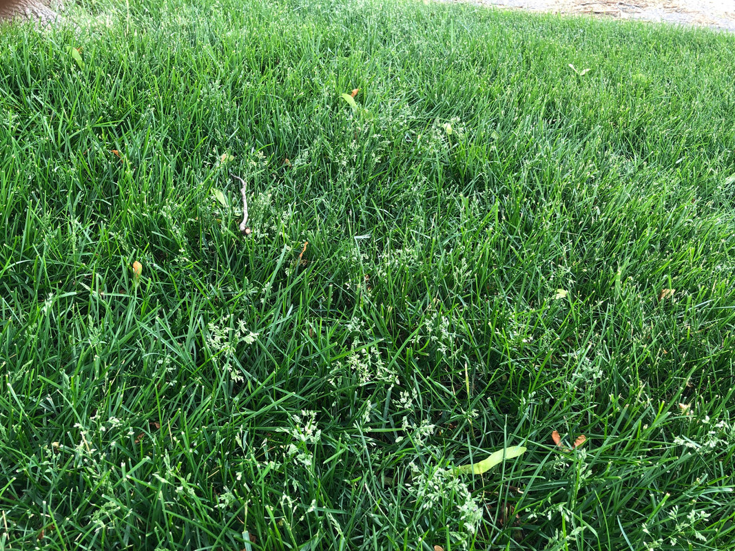 IMG 3077 — Postimages