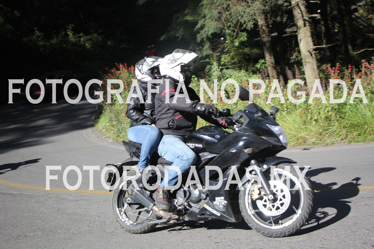 IMG 3642 — Postimages