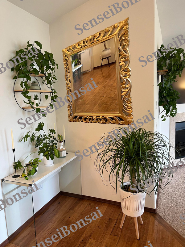 mirror — Postimages