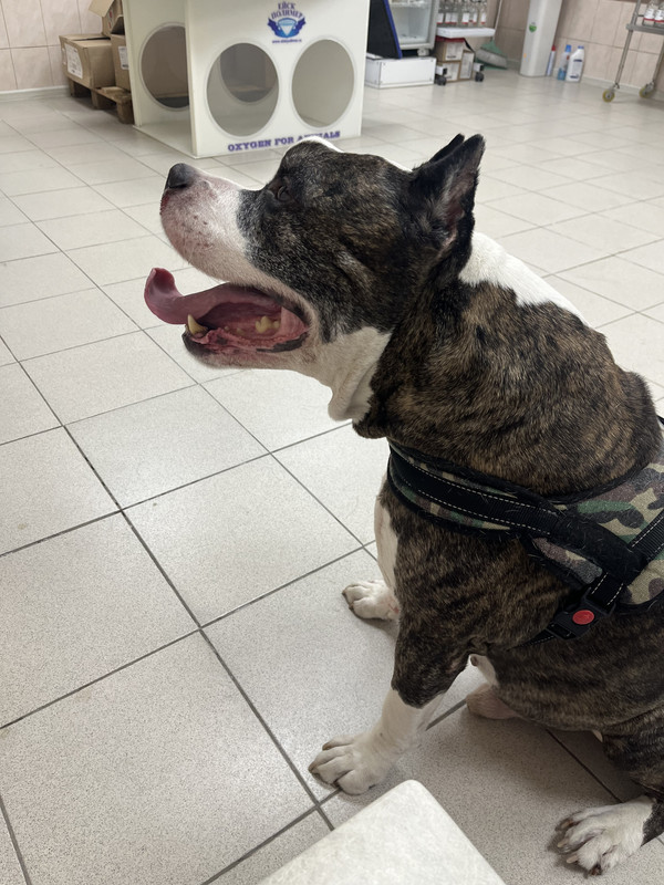 IMG 2997 — Postimages