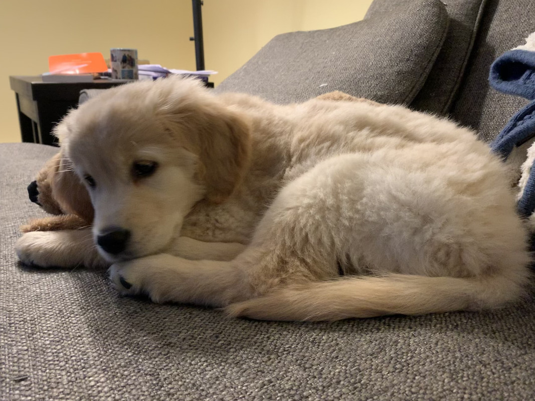 Full Size Render — Postimages