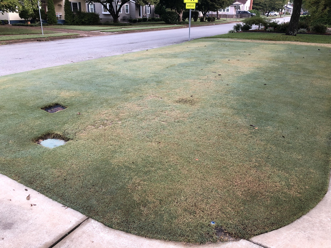 119 AA653 B4 ED 4 CCA 9 D8 C 6 E9 E1733 B1 F9 — Postimages