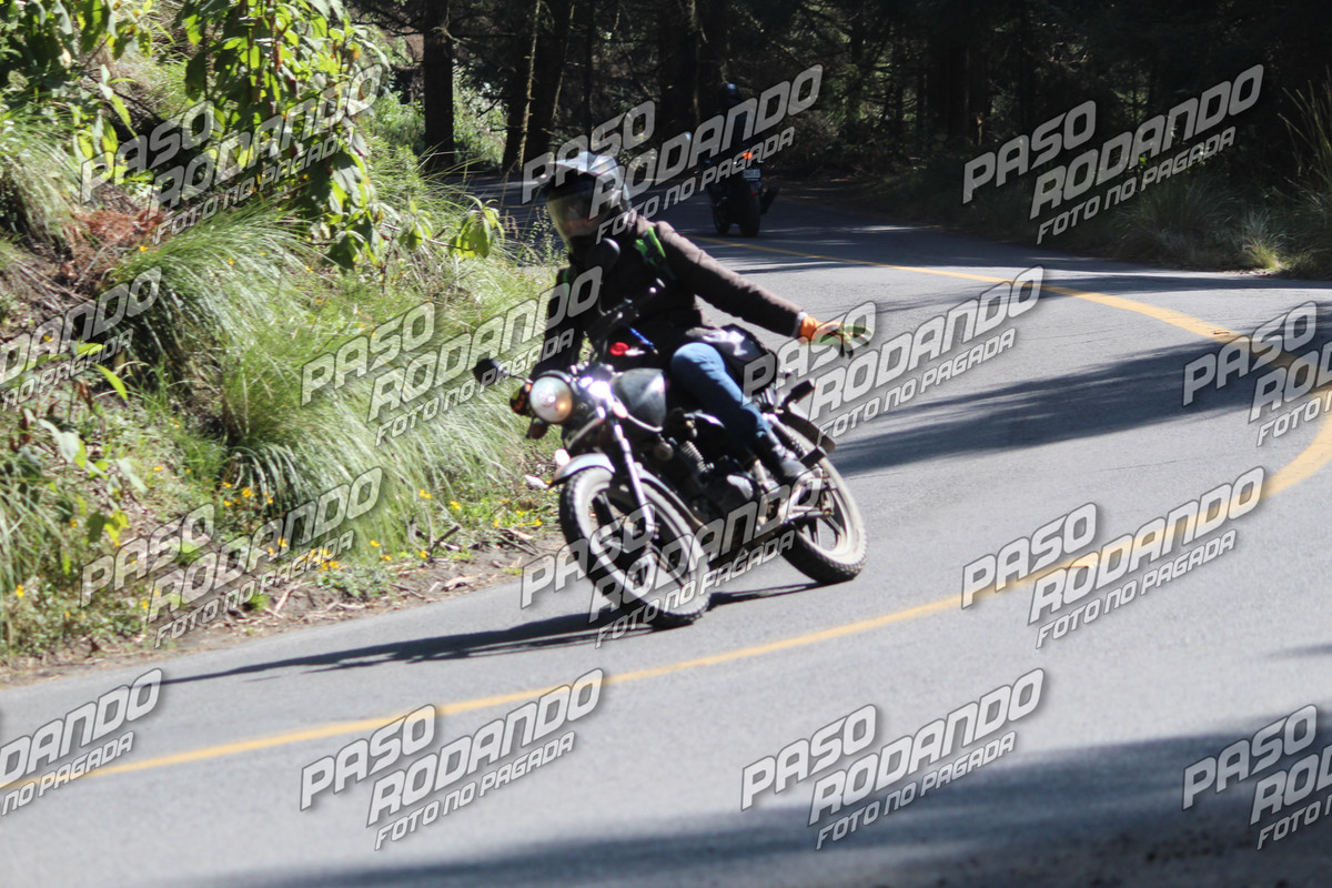 Album — Postimages