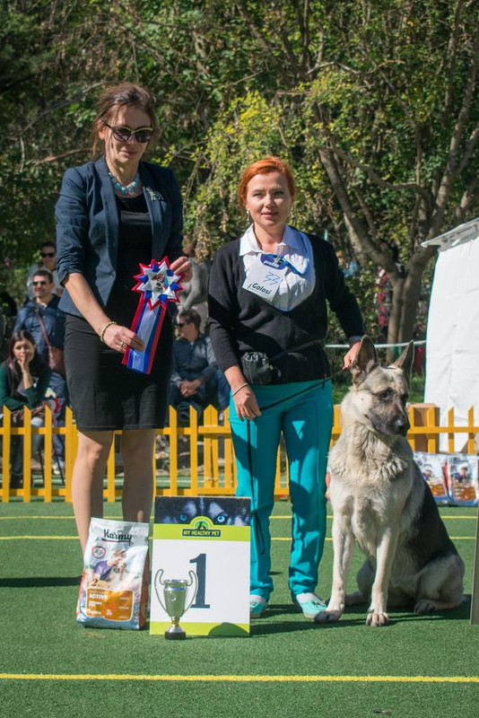 20181006 DSC 0804 — Postimages