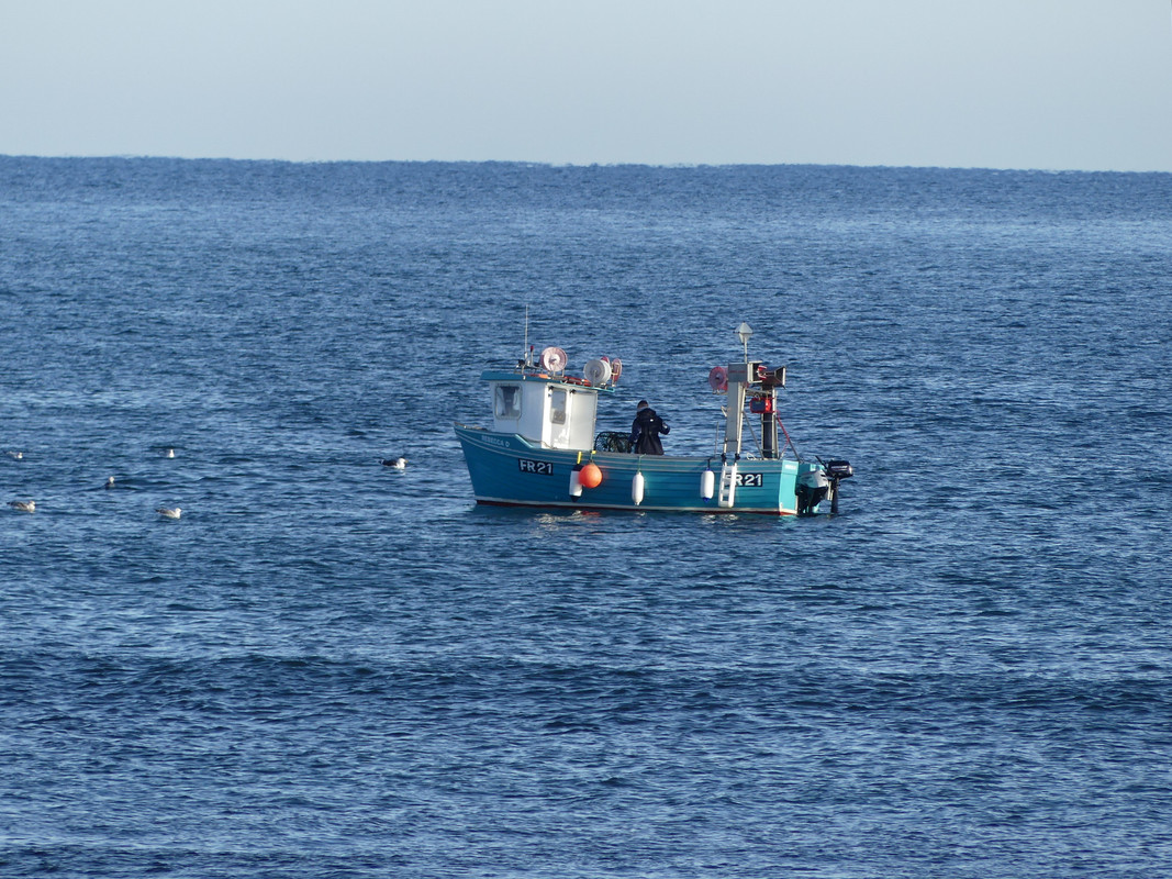 FR 21 1 — Postimages