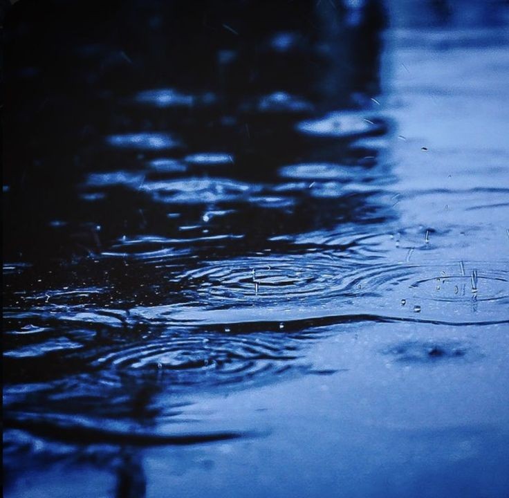 Journal | Layouts | Quotev