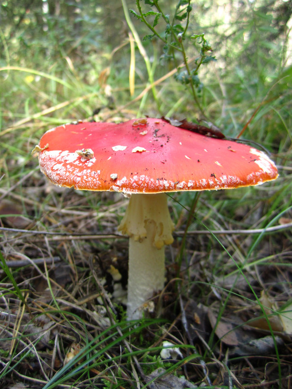 IMG 1564 — Postimages