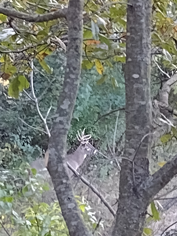 IMG 20211102 174142816 — Postimages