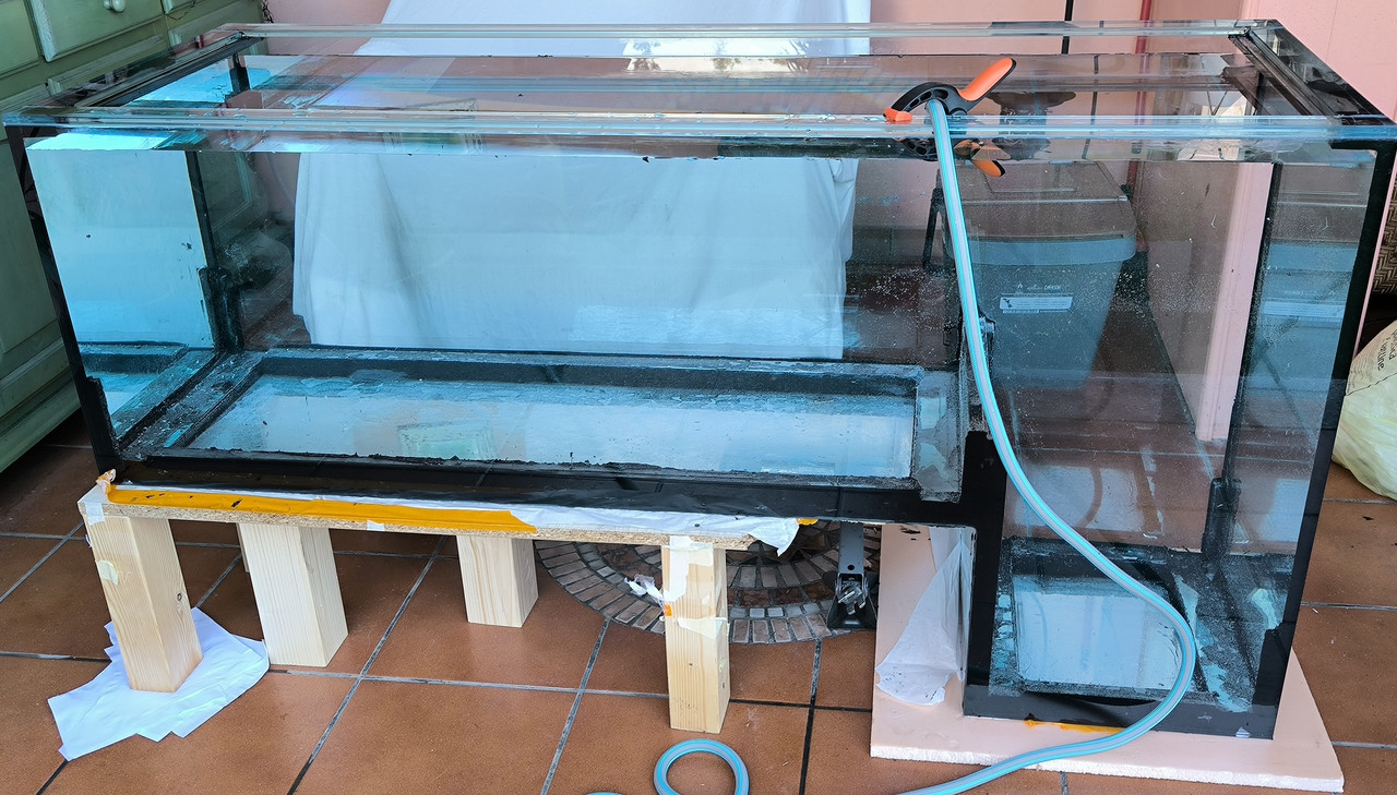 IMG 20240517 200605 — Postimages