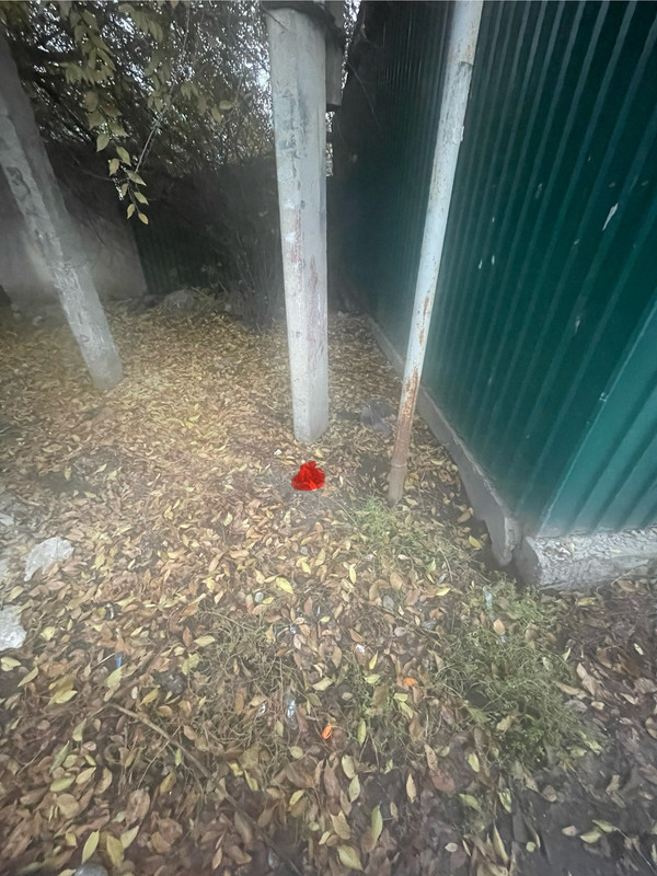 IMG 9601 — Postimages