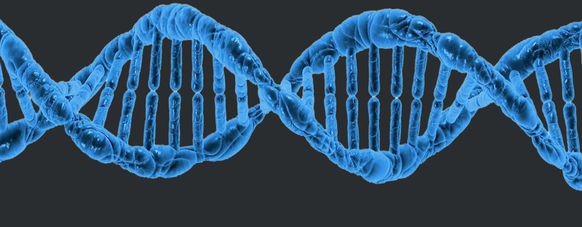 DNA's Double Helix Was Discovered 70 Years Ago. Here Are Some Of The ...
