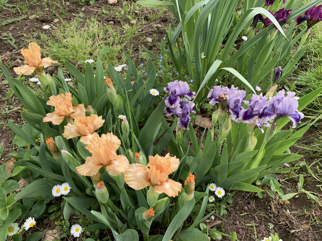 745 B296 A BC3 F 41 CB 893 B 1 EE7288584 A4 — Postimages