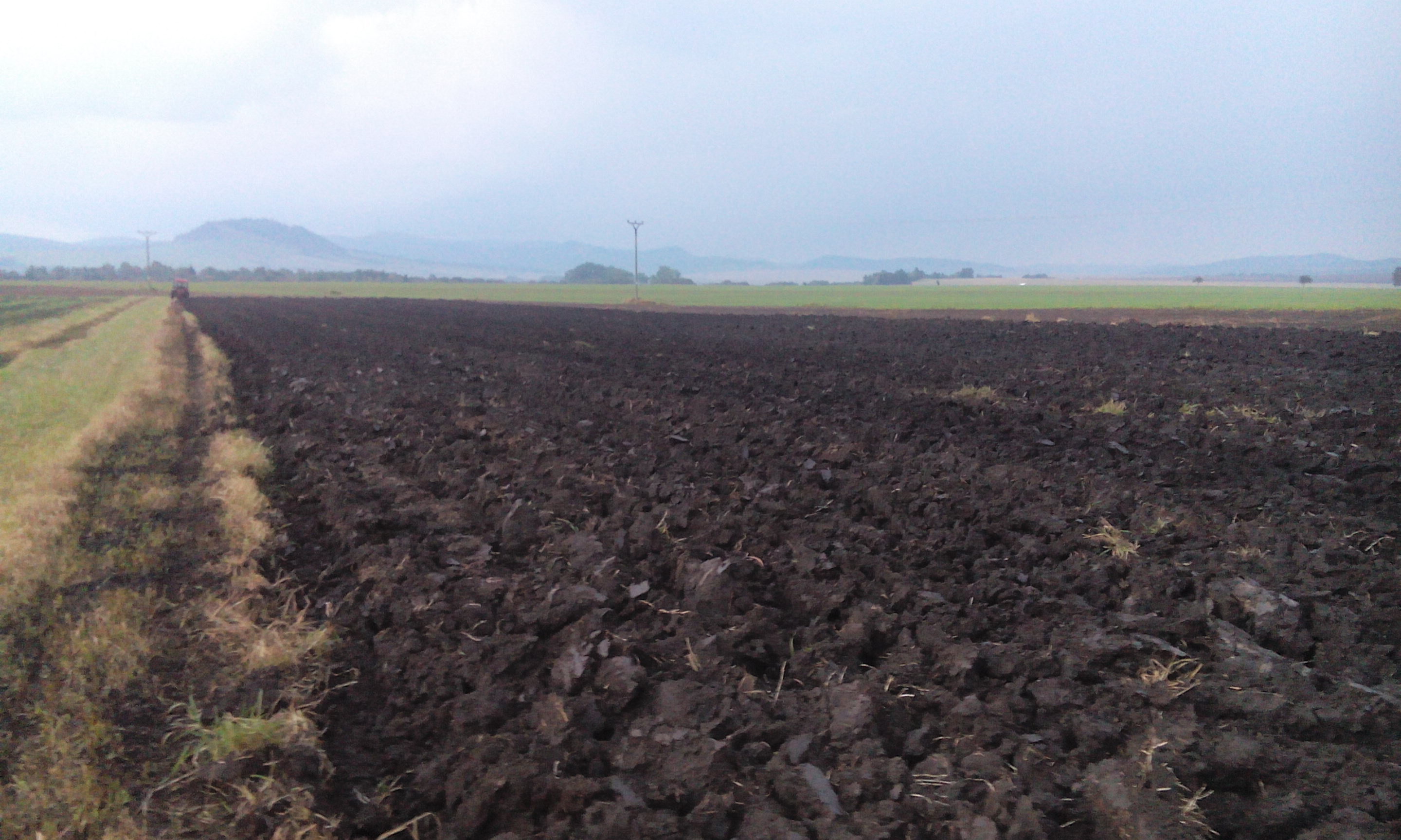 orba 16 — Postimages