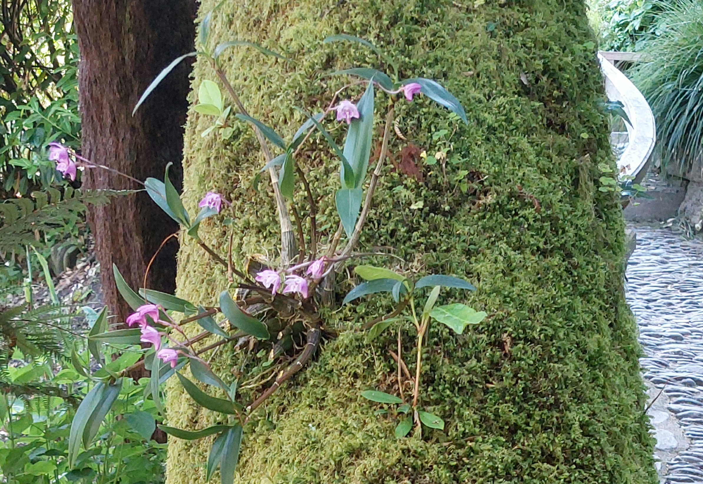 20230613 221344 — Postimages