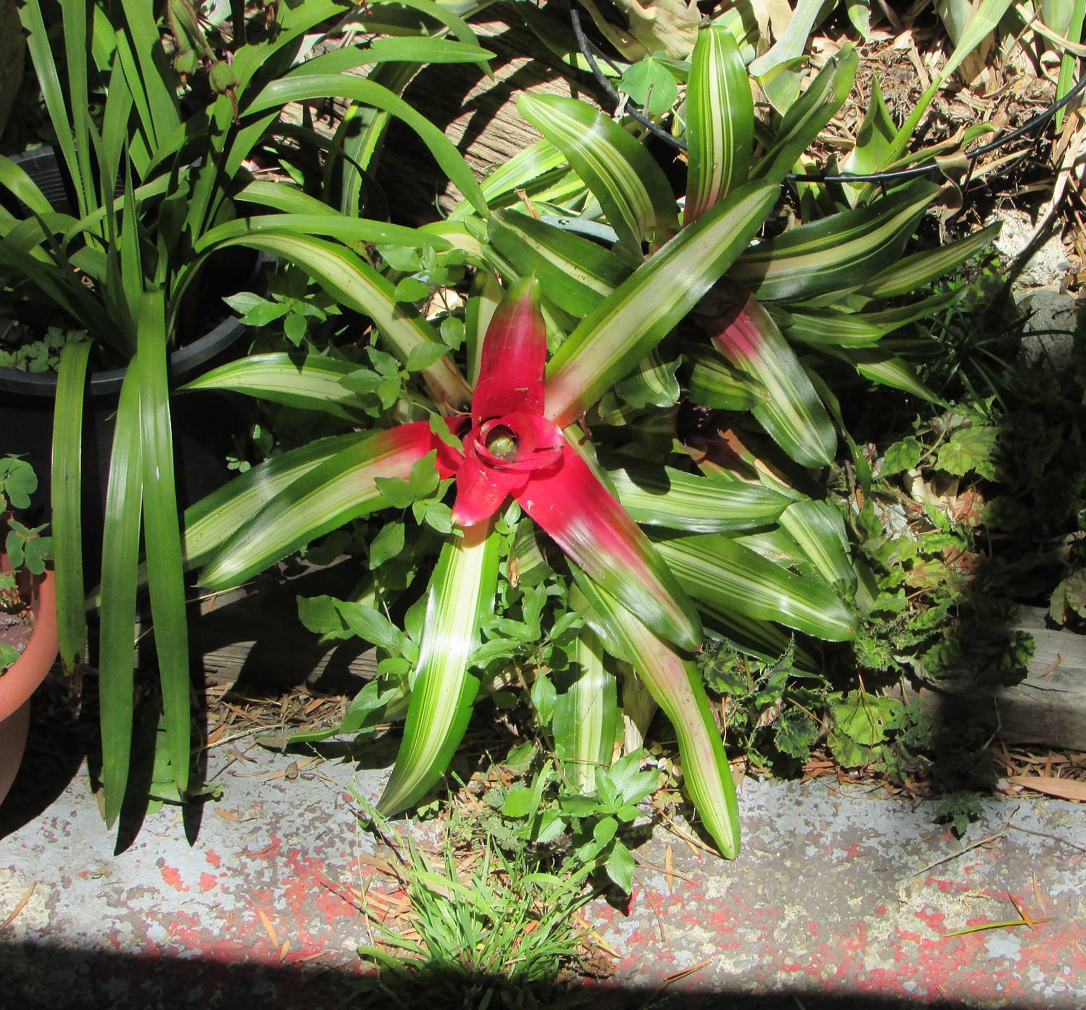 IMG 5170 — Postimages