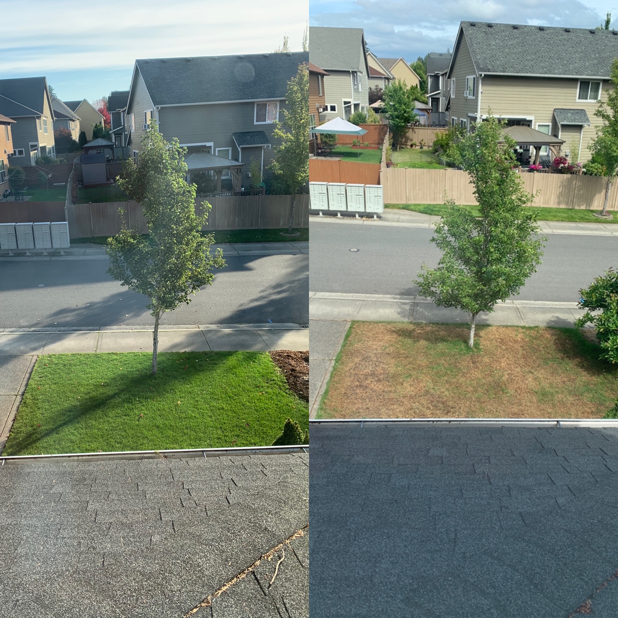 Fall2020 seeding before and after — Postimages