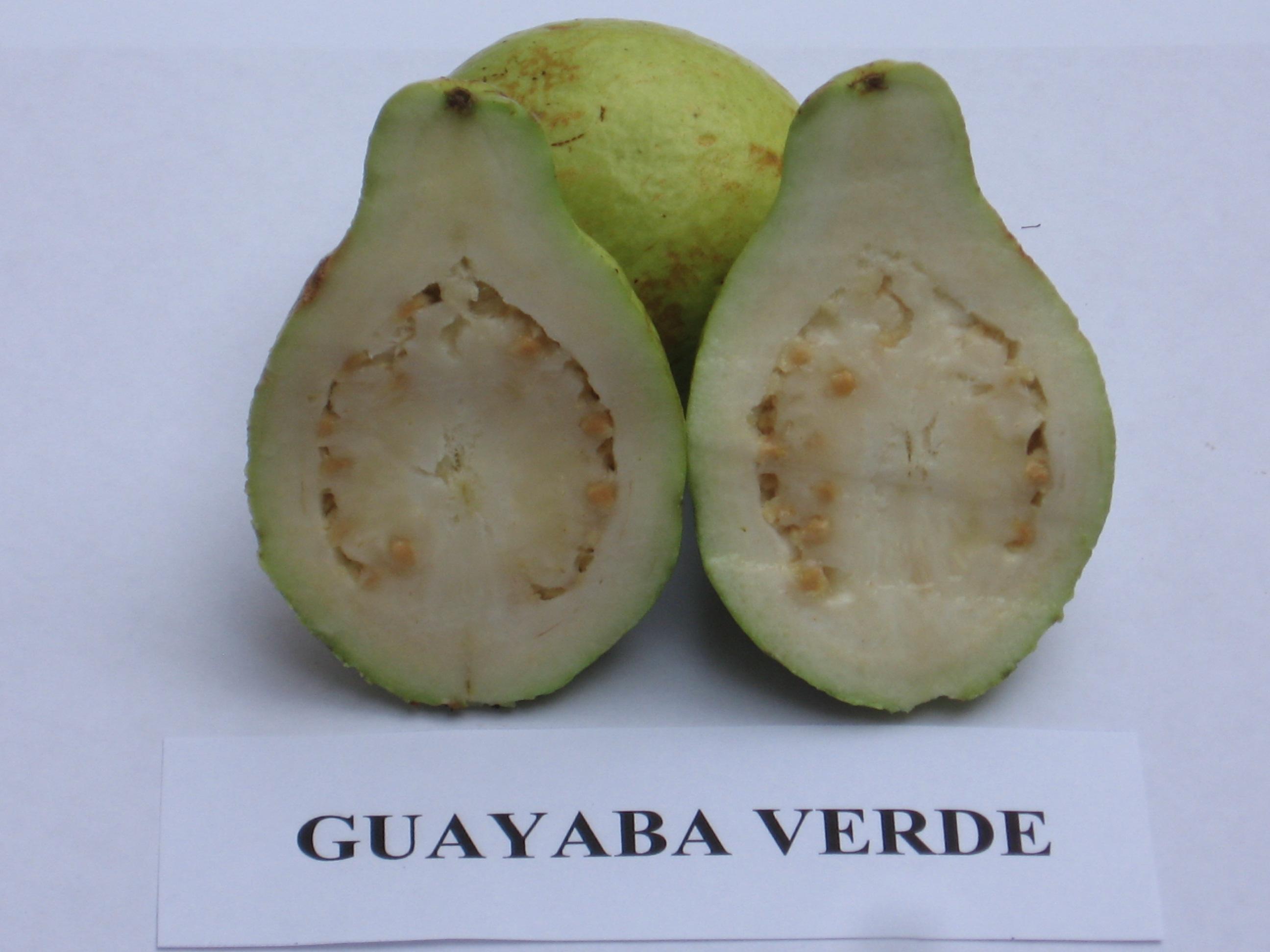 guayaba verde — Postimages