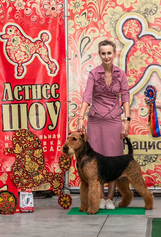 374 CR2 — Postimages