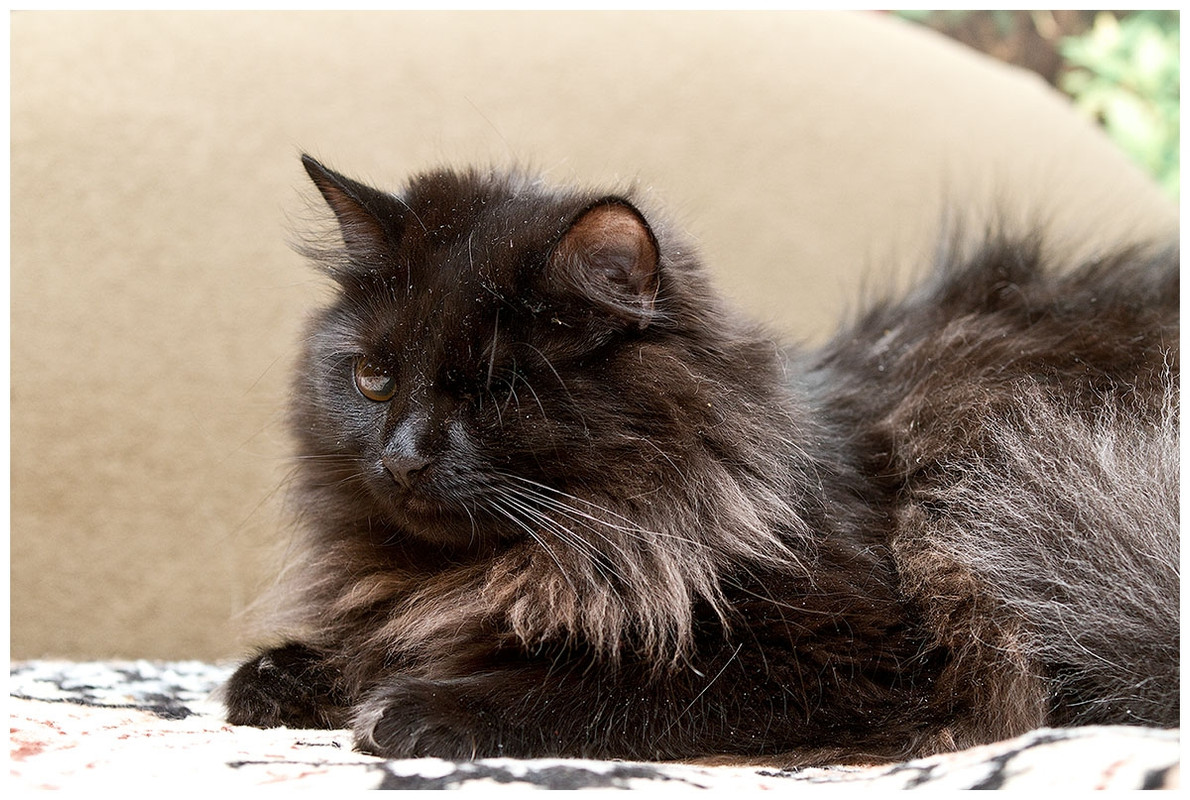 IMG 0519 — Postimages