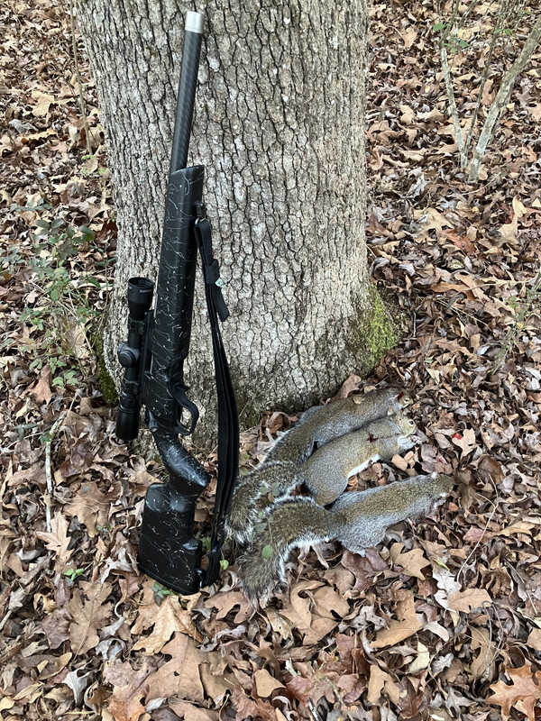 IMG 4751 — Postimages