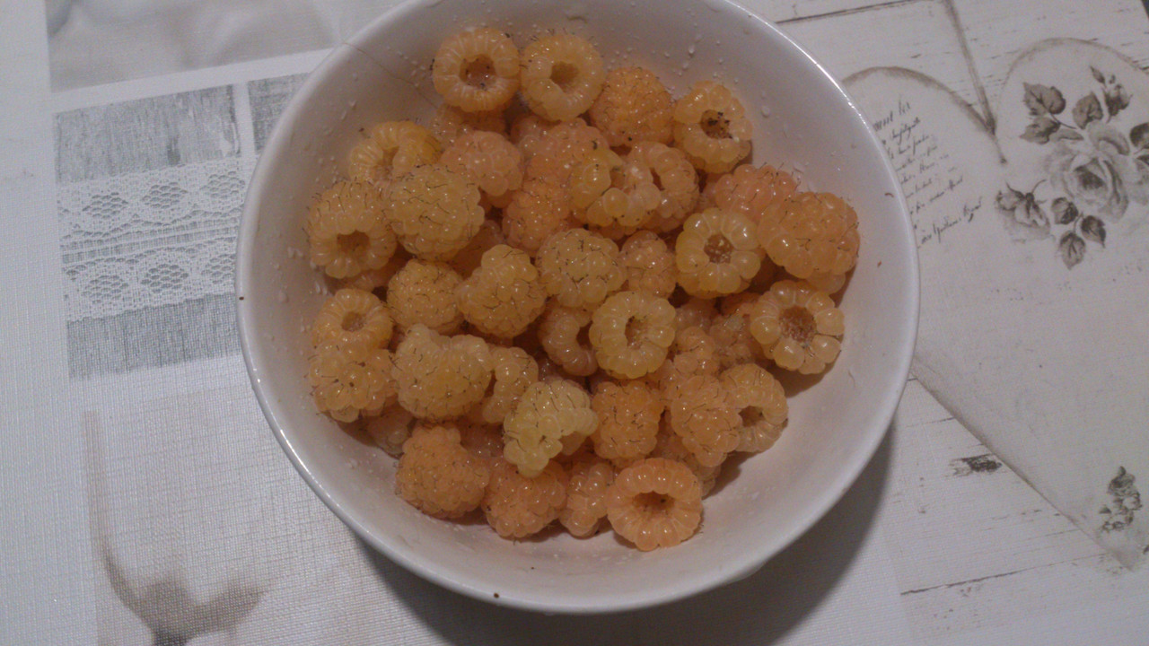 DSC 2352 — Postimages